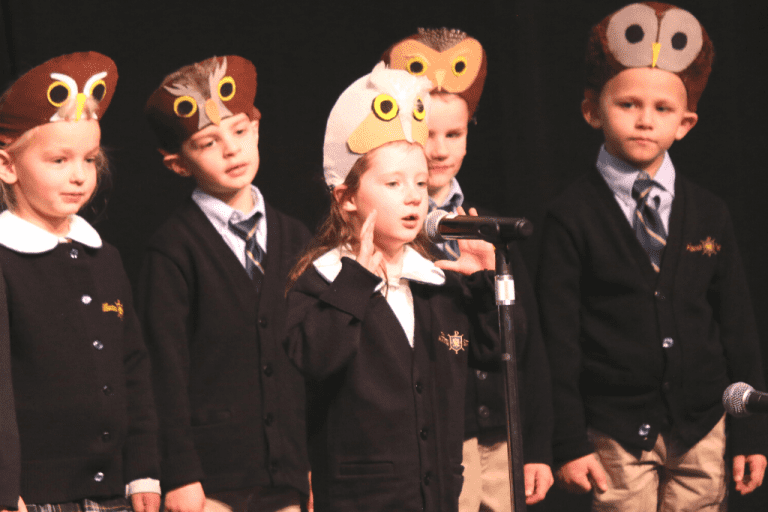 Academics - The Ambrose School